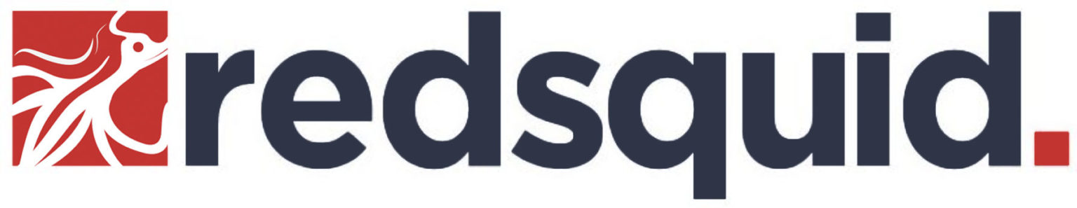 Our Solutions - Redsquid. - An Innovative Provider